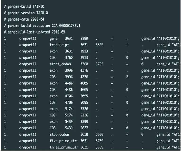 Convert GFF3 to GTF file format - Renesh Bedre